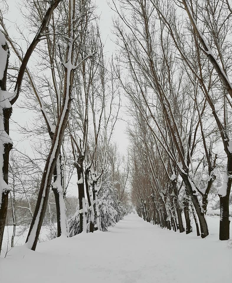 Snowshoeing From Laklouk to Ehmej (Wardiyet Ehmej) « Lebtivity