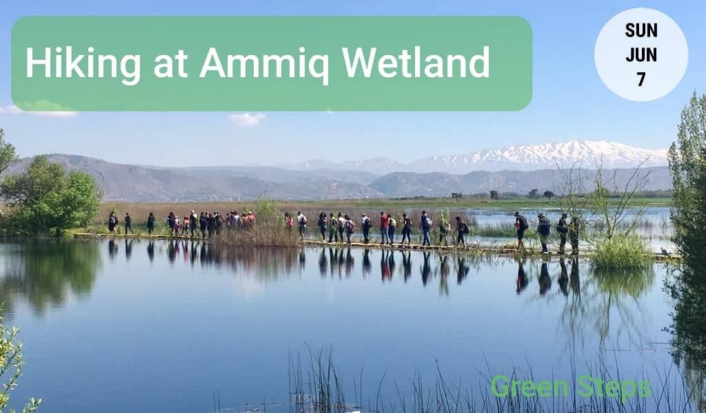 Hiking at Ammiq Wetland with GREEN STEPS « Lebtivity