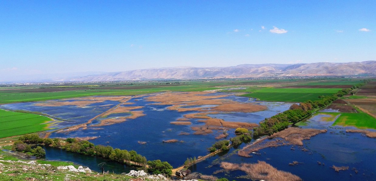Hiking in the New Trail of Ammiq Wetlands with GREEN STEPS « Lebtivity