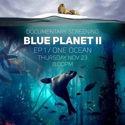 Blue Planet II: One Ocean « Lebtivity