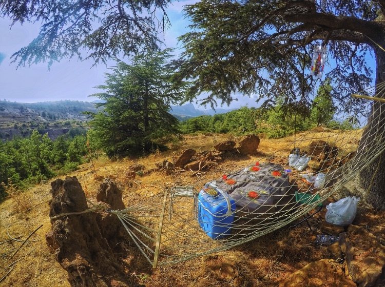Hiking n Picnic Hadath el Jebbeh with Lebanese Explorers « Lebtivity