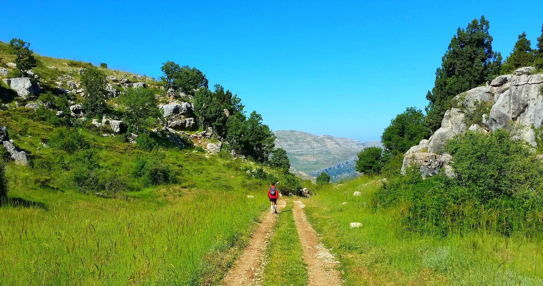 Maaser Chouf Hike - Chouf | HighKings « Lebtivity