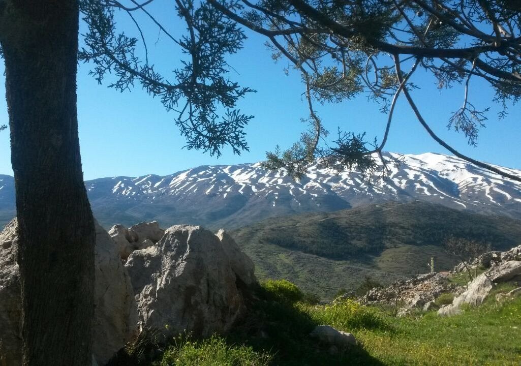 Jabal El-Sheikh Hike with Dale Corazon « Lebtivity