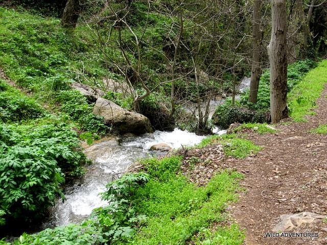 Qadisha River Hike with Wild Adventures « Lebtivity