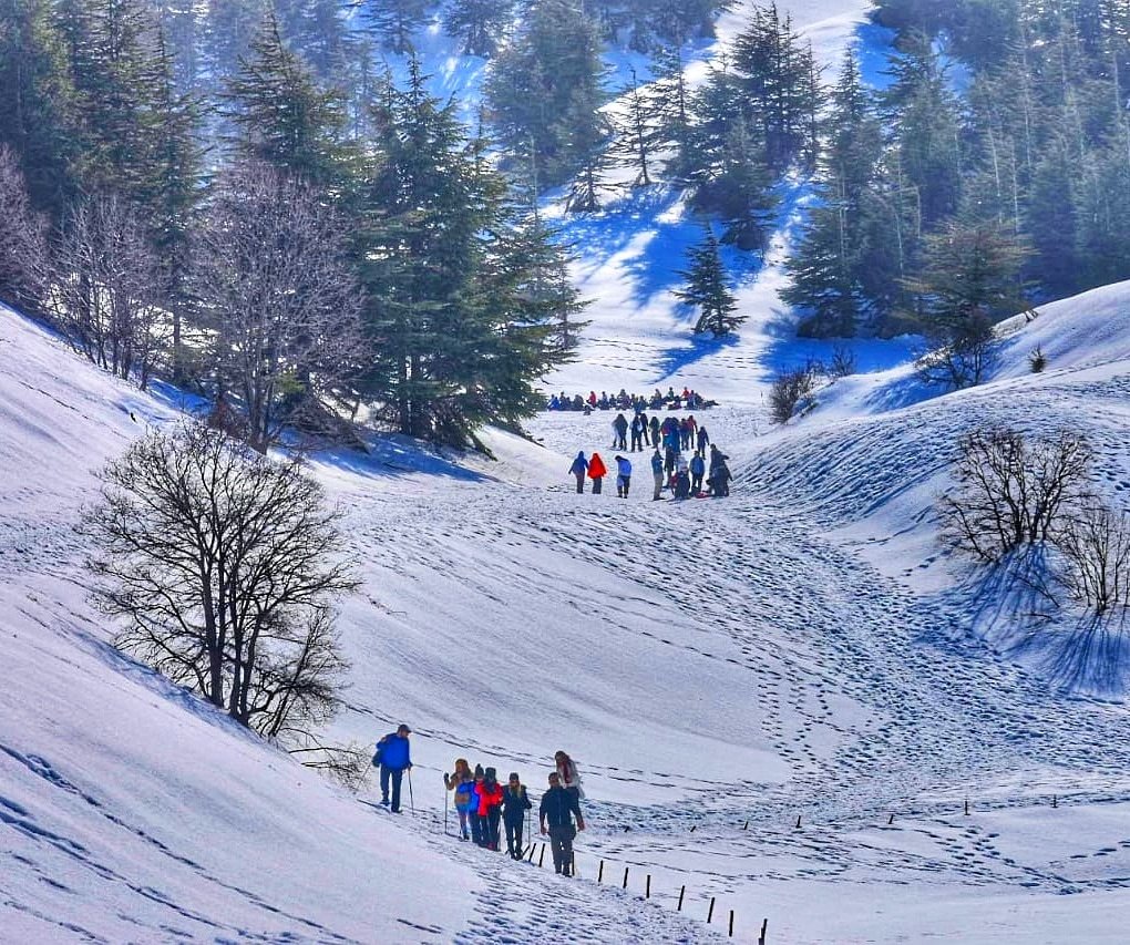 Snowshoeing Barouk Cedar Reserve with Connected Lebanon « Lebtivity