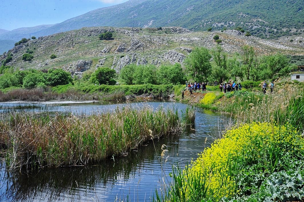 Hiking Ammiq Wetlands with Lebanese Explorers « Lebtivity