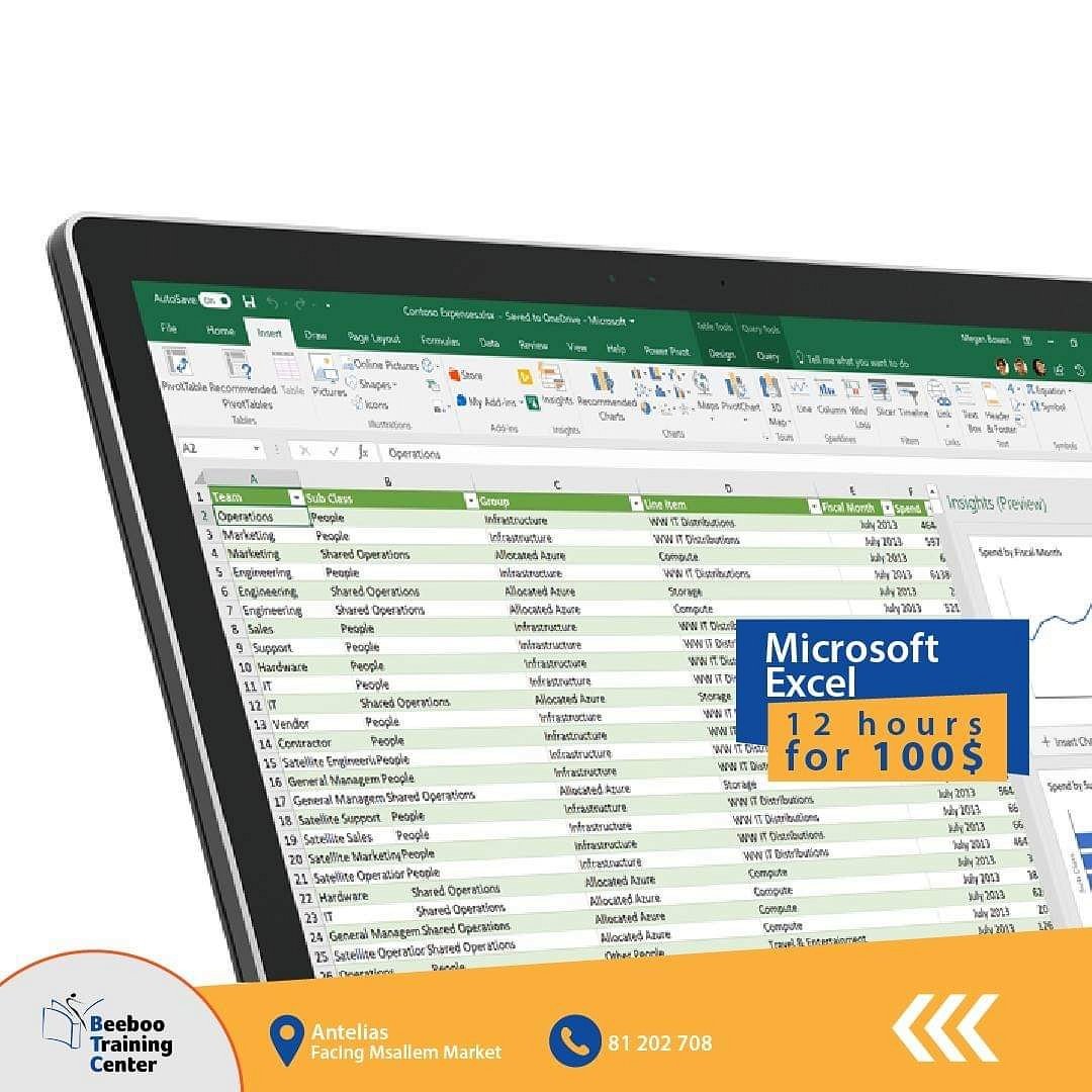 Microsoft Excel Workshop « Lebtivity